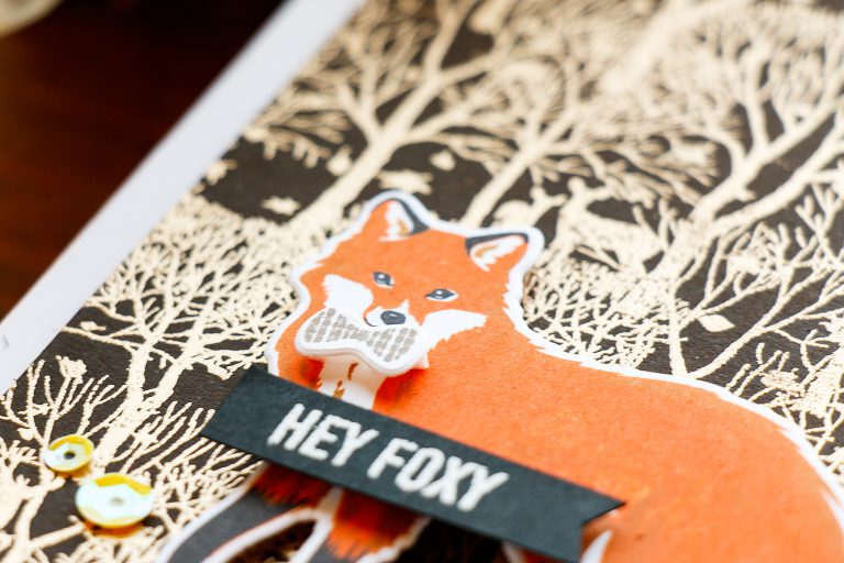 Hero Arts | Color Layering with Yana Video Series: Color Layering Fox 4 ...