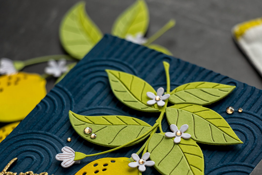 Spellbinders | Be Bold Collection – Lemon Birthday Card. Video | Yana ...