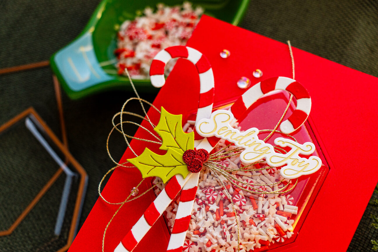 Spellbinders | Shaker Cards with Shaker Domes. Video | Yana Smakula
