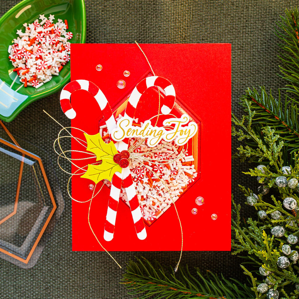 Spellbinders | Shaker Cards with Shaker Domes. Video | Yana Smakula